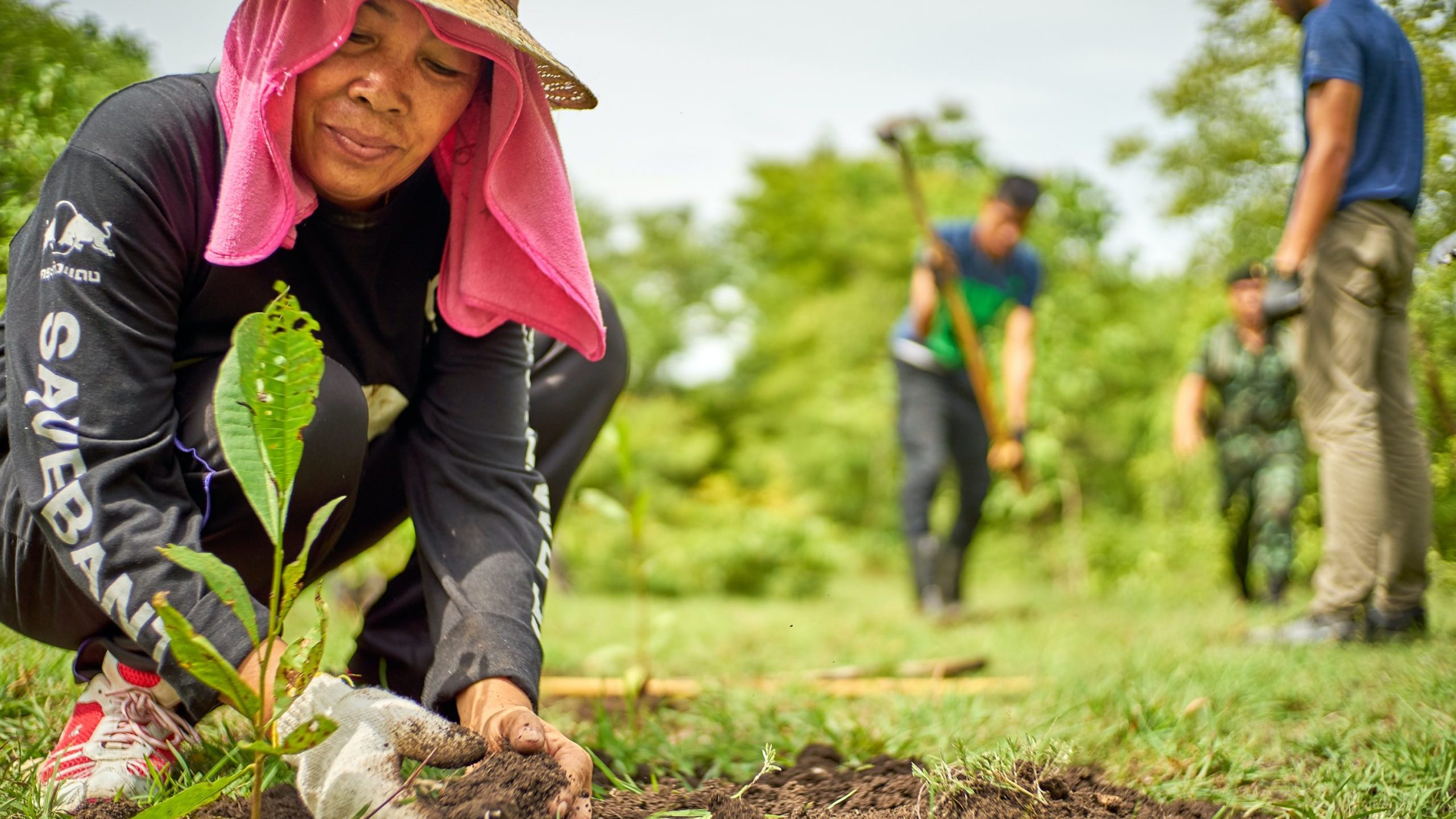Jardines comunitarios: Incentivo - Climate Resilience Center